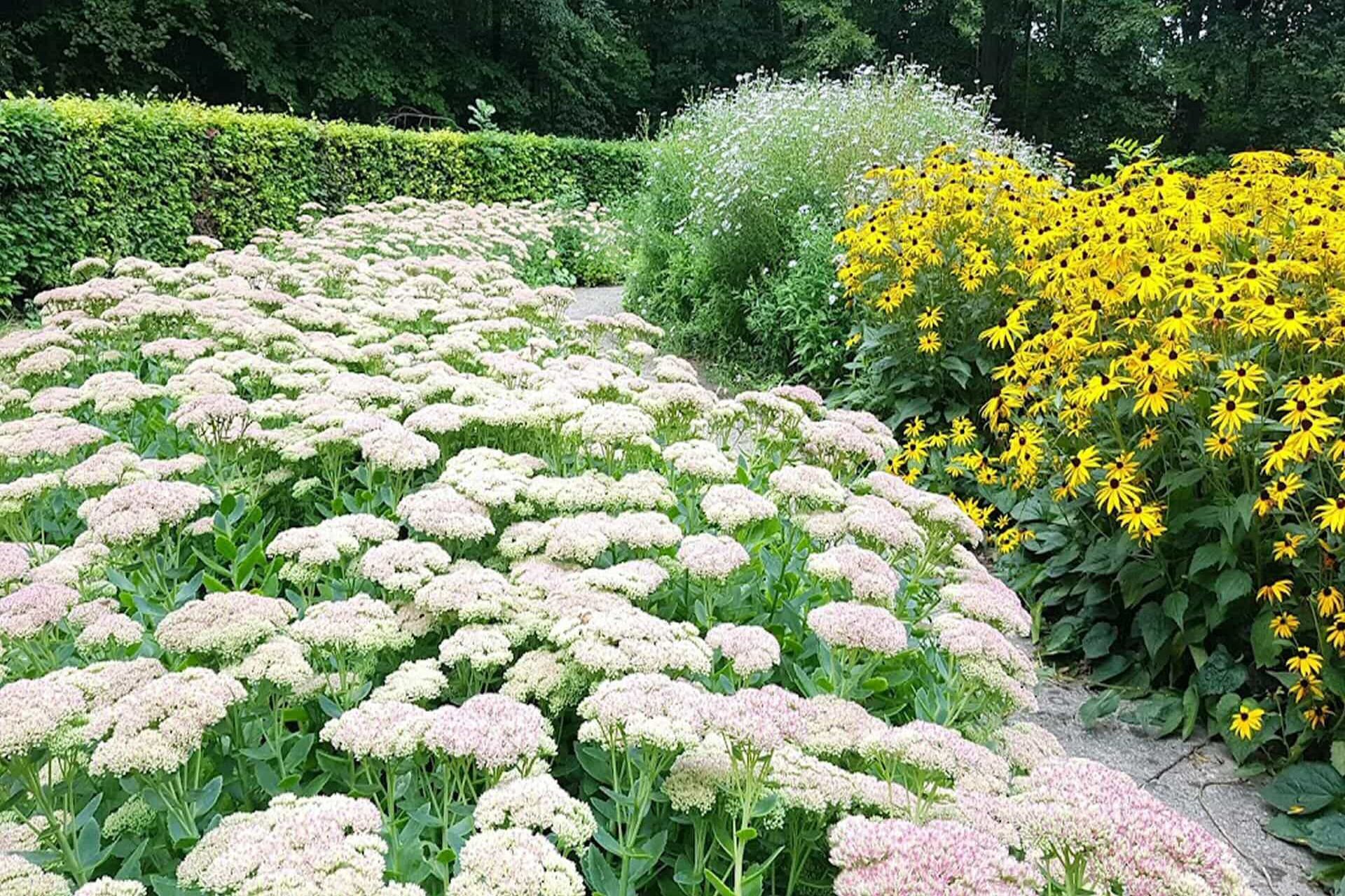 Mooiste plekjes Beatrixpark